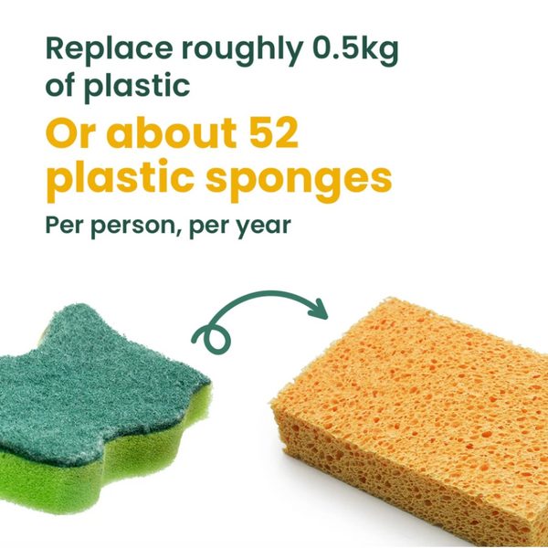 Plastic-free sponges - Honest Riders